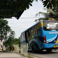 RIAUPAGI.com | Bus Trans Metro Pekanbaru Layani Rute Kampar yang ...