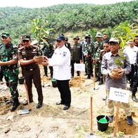 RIAUPAGI.com | Puluhan Tahun Lahan TNTN Ditongkrongi Sawit Ilegal akan Difungsikan Kembali ...